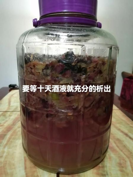 家庭葡萄酒制作方法_自酿葡萄酒注意事项-第2张图片-山城妙识