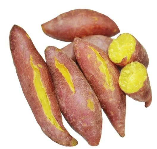 红薯图片大全大图_如何挑选高清无水印素材-第2张图片-山城妙识