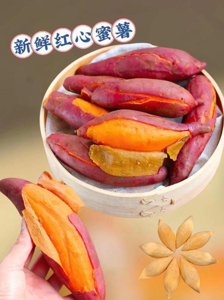 红薯图片大全大图_如何挑选高清无水印素材-第3张图片-山城妙识