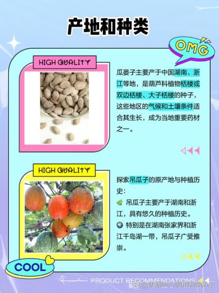 吊瓜子是什么_吊瓜子和瓜蒌子区别-第1张图片-山城妙识 吊瓜子是什么_吊瓜子和瓜蒌子区别-第1张图片-山城妙识