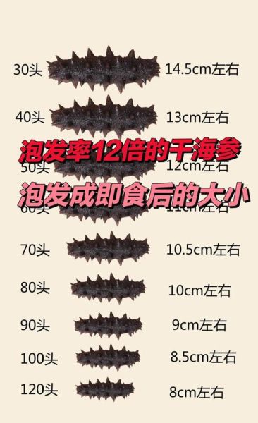 海参泡发率多少算正常_海参泡发率怎么提高-第1张图片-山城妙识