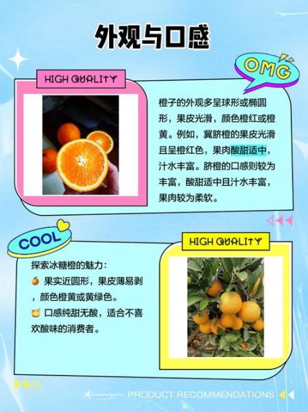 冰糖橙怎么挑选_冰糖橙和脐橙的区别-第1张图片-山城妙识 冰糖橙怎么挑选_冰糖橙和脐橙的区别-第1张图片-山城妙识