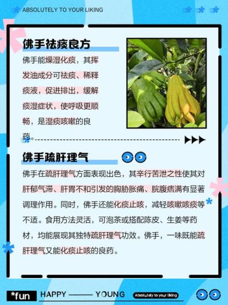 佛手对乳腺增生有好处吗_佛手茶能缓解乳腺胀痛吗-第1张图片-山城妙识