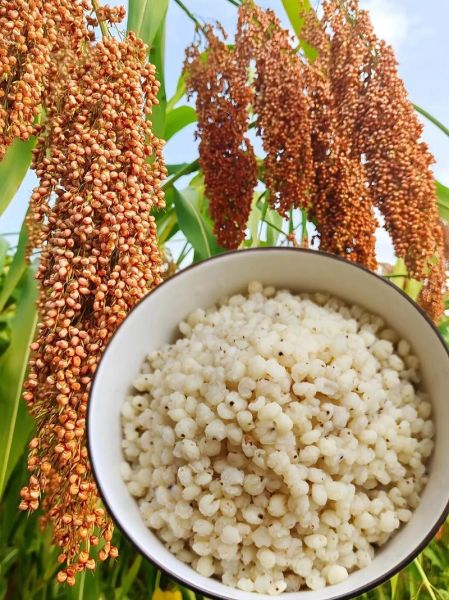 白脸高粱米饭怎么做_白脸高粱米饭热量高吗-第1张图片-山城妙识