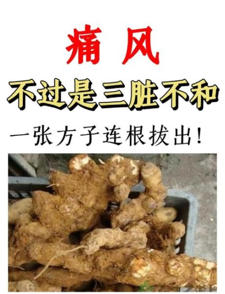 痛风秘方真的有用吗_痛风偏方治一个好一个靠谱吗-第1张图片-山城妙识