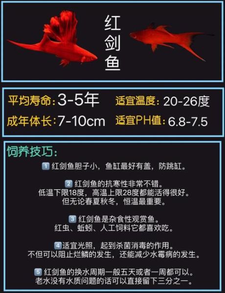 小剑鱼怎么做好吃_小剑鱼适合清蒸还是红烧-第1张图片-山城妙识