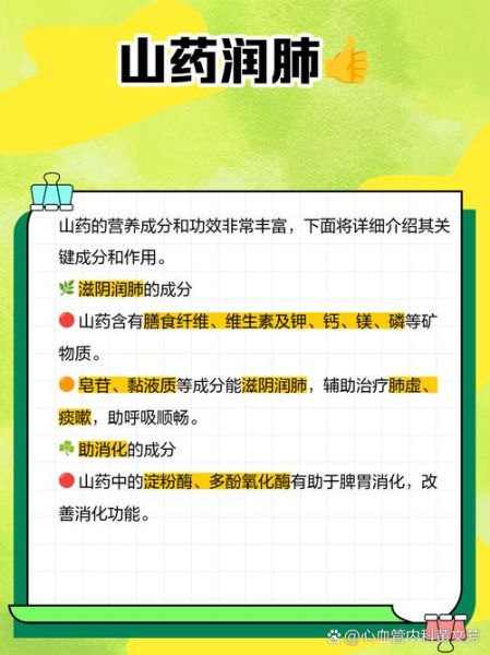 菜山药有药用价值吗_菜山药的功效与作用-第2张图片-山城妙识 菜山药有药用价值吗_菜山药的功效与作用-第2张图片-山城妙识