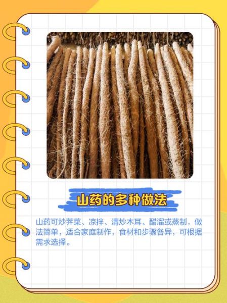 菜山药有药用价值吗_菜山药的功效与作用-第3张图片-山城妙识 菜山药有药用价值吗_菜山药的功效与作用-第3张图片-山城妙识