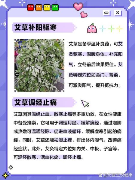 艾草能治皮肤病吗_艾草怎么用效果最好-第3张图片-山城妙识 艾草能治皮肤病吗_艾草怎么用效果最好-第3张图片-山城妙识