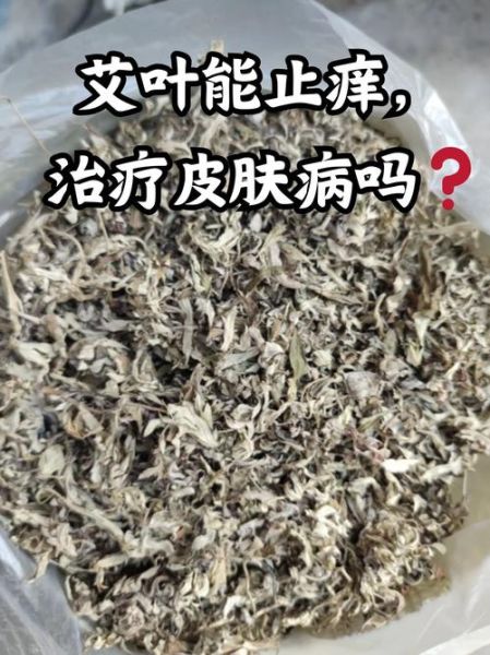 艾草能治皮肤病吗_艾草怎么用效果最好-第2张图片-山城妙识 艾草能治皮肤病吗_艾草怎么用效果最好-第2张图片-山城妙识