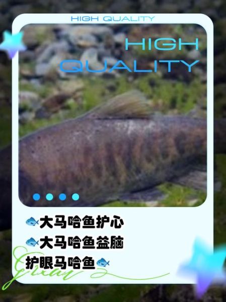 马哈鱼营养价值_马哈鱼的功效与作用-第1张图片-山城妙识