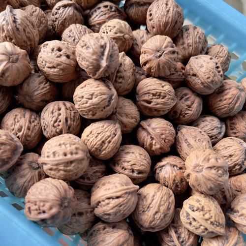 野核桃图片怎么拍_野核桃长什么样-第2张图片-山城妙识