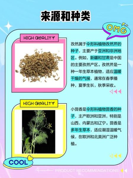 孜然是什么植物长出来的_孜然和茴香一样吗-第1张图片-山城妙识 孜然是什么植物长出来的_孜然和茴香一样吗-第1张图片-山城妙识