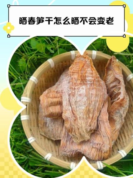 笋干怎么晒_笋干晒制技巧-第2张图片-山城妙识 笋干怎么晒_笋干晒制技巧-第2张图片-山城妙识