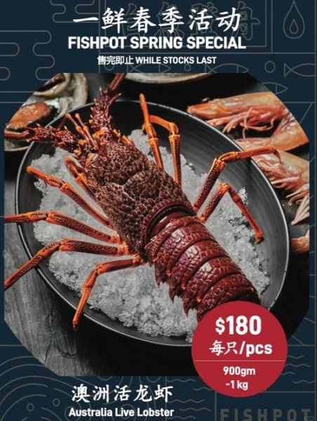 澳洲红龙虾多少钱一斤_澳洲红龙虾价格行情-第3张图片-山城妙识 澳洲红龙虾多少钱一斤_澳洲红龙虾价格行情-第3张图片-山城妙识