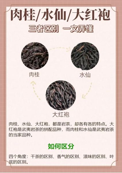 岩茶水仙和肉桂的区别_哪个更好喝-第1张图片-山城妙识