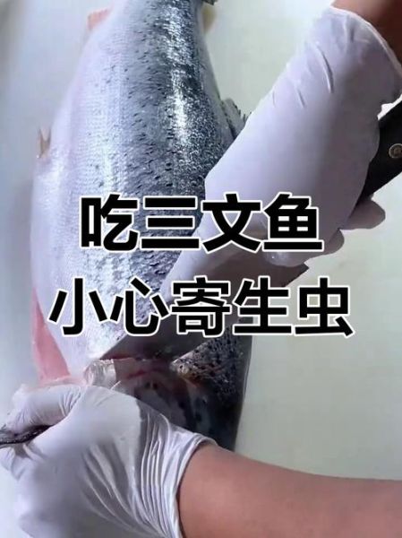 三文鱼寄生虫会寄生人体吗_如何避免感染-第1张图片-山城妙识