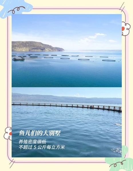 三文鱼寄生虫会寄生人体吗_如何避免感染-第2张图片-山城妙识