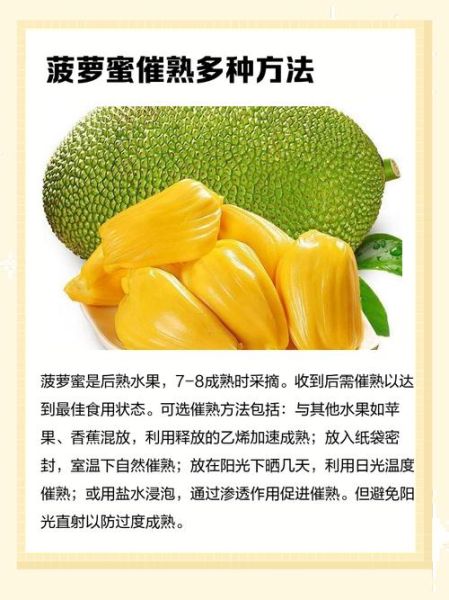 菠萝菠萝蜜菠萝菠萝1是什么_如何快速记住-第2张图片-山城妙识