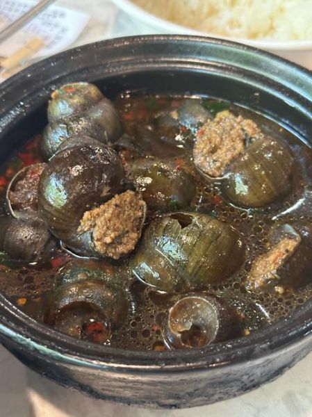 焖大田螺怎么做好吃_大田螺去腥技巧-第1张图片-山城妙识