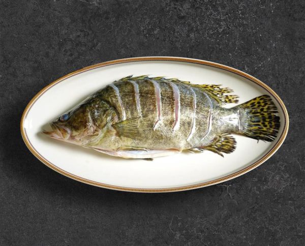 为什么很少人养鳜鱼_鳜鱼养殖难点有哪些-第3张图片-山城妙识 为什么很少人养鳜鱼_鳜鱼养殖难点有哪些-第3张图片-山城妙识