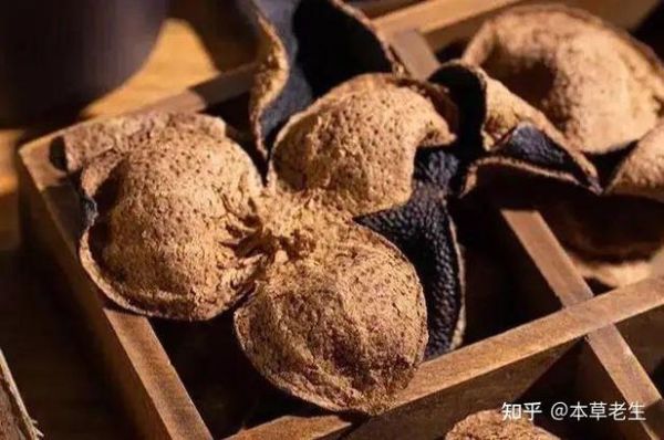 清半夏的功效与作用_清半夏与法半夏区别-第2张图片-山城妙识 清半夏的功效与作用_清半夏与法半夏区别-第2张图片-山城妙识