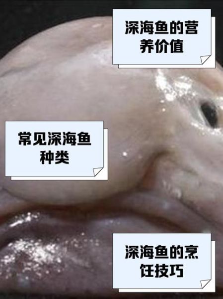 深海鱼有哪些种类_深海鱼都包括什么鱼-第2张图片-山城妙识