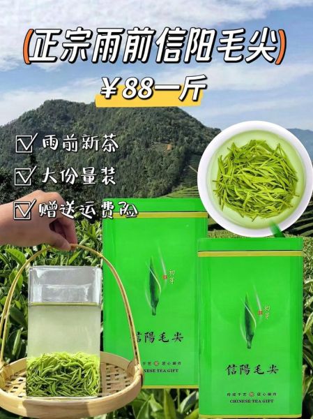 毛尖茶多少钱一斤_毛尖茶价格表-第1张图片-山城妙识