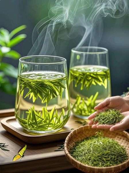 毛尖茶多少钱一斤_毛尖茶价格表-第2张图片-山城妙识