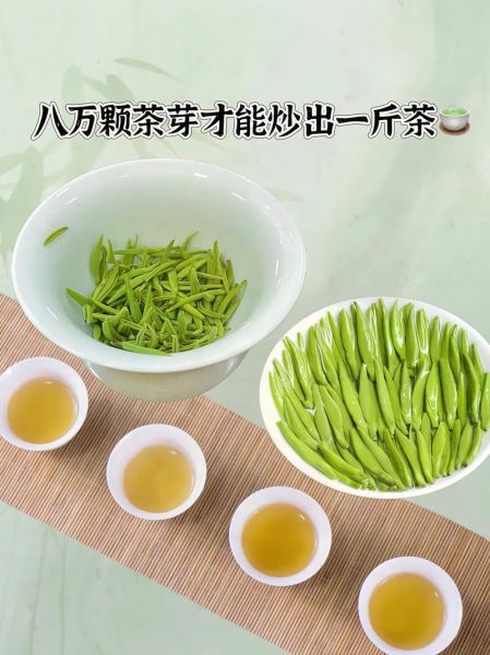 毛尖茶多少钱一斤_毛尖茶价格表-第3张图片-山城妙识