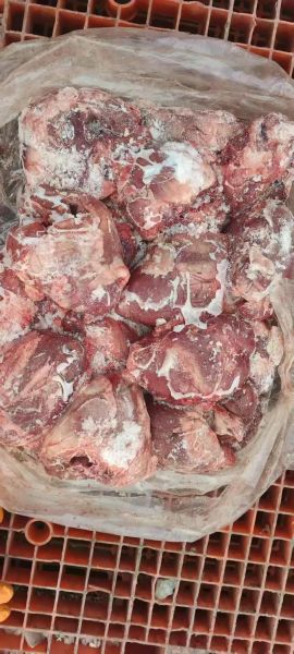 猪心癌细胞最多_猪心癌细胞最多是什么原因-第3张图片-山城妙识