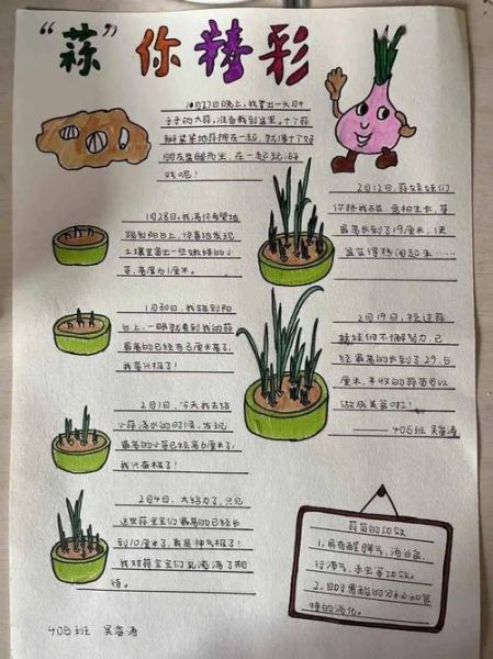 蒜苗怎么种植方法_家庭阳台蒜苗种植步骤-第1张图片-山城妙识