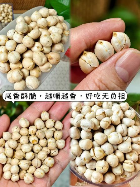 新疆鹰嘴豆的功效与作用_新疆鹰嘴豆怎么吃最好-第3张图片-山城妙识