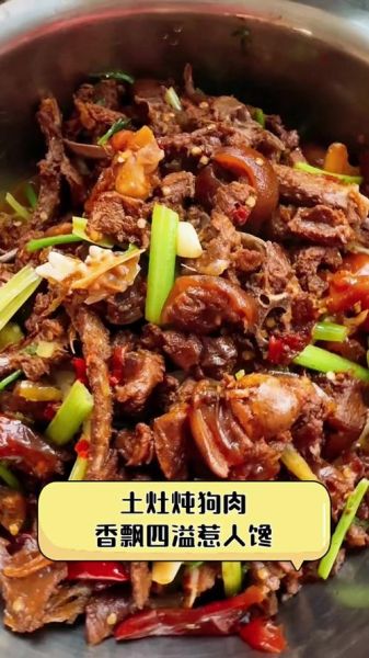 家常狗肉的做法_狗肉怎么炖才软烂不腥-第1张图片-山城妙识