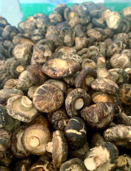 干香菇煮多久能熟_干香菇泡发后多久煮熟-第1张图片-山城妙识