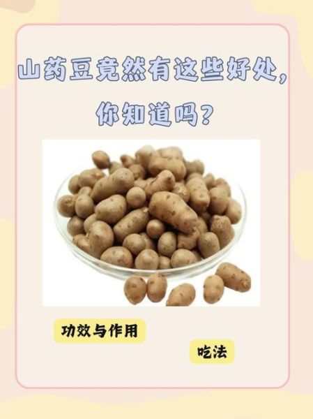 山药豆能减肥吗_山药豆的功效与作用减肥-第2张图片-山城妙识