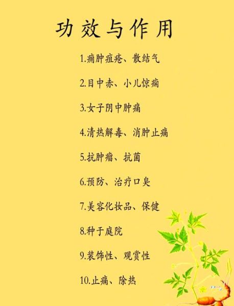 白蔹的美容功效与作用_白蔹可以美白吗-第1张图片-山城妙识 白蔹的美容功效与作用_白蔹可以美白吗-第1张图片-山城妙识