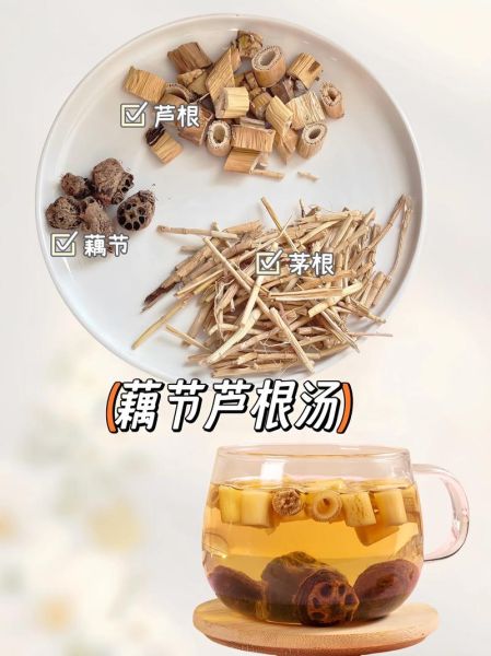芦根泡水喝的功效和作用_芦根泡水喝的禁忌-第1张图片-山城妙识