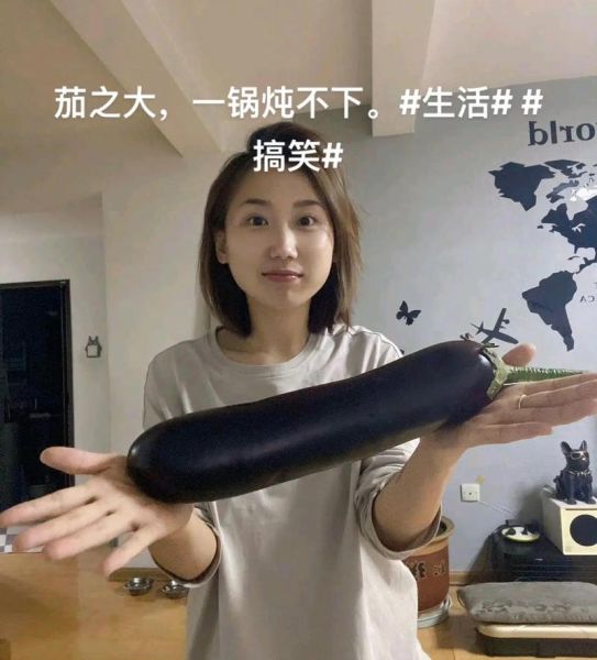 大茄子表情包怎么制作_大茄子表情包出处是哪-第1张图片-山城妙识
