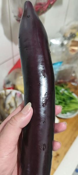 大茄子表情包怎么制作_大茄子表情包出处是哪-第2张图片-山城妙识