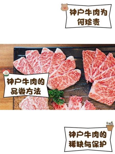 日本神户雪花牛肉多少钱一斤_正宗神户牛价格查询-第3张图片-山城妙识 日本神户雪花牛肉多少钱一斤_正宗神户牛价格查询-第3张图片-山城妙识