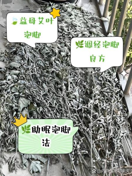 益母草长什么样_益母草与艾草区别-第3张图片-山城妙识 益母草长什么样_益母草与艾草区别-第3张图片-山城妙识