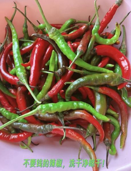 剁辣椒怎么保存_自制剁辣椒能放多久-第1张图片-山城妙识