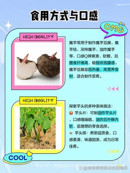 魔芋是芋头吗_魔芋和芋头区别-第1张图片-山城妙识