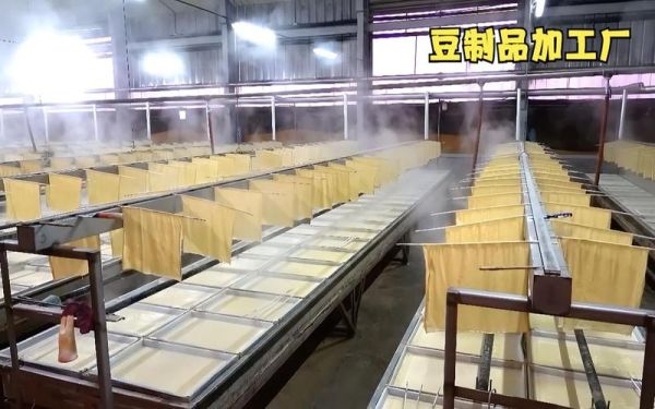 豆制品加工厂投资销路_豆制品加工厂销路怎么找-第1张图片-山城妙识