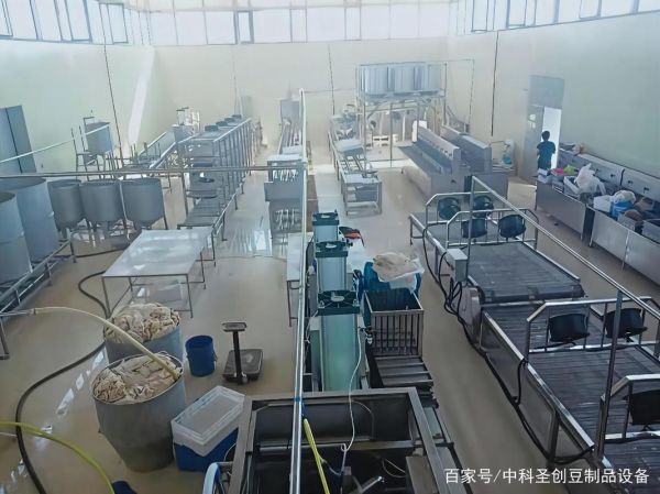 豆制品加工厂投资销路_豆制品加工厂销路怎么找-第3张图片-山城妙识