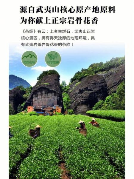 大红袍产地在哪里_武夷山景区核心产区详解-第1张图片-山城妙识