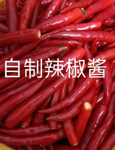 自制辣椒酱怎么做_辣椒酱的做法步骤-第3张图片-山城妙识 自制辣椒酱怎么做_辣椒酱的做法步骤-第3张图片-山城妙识