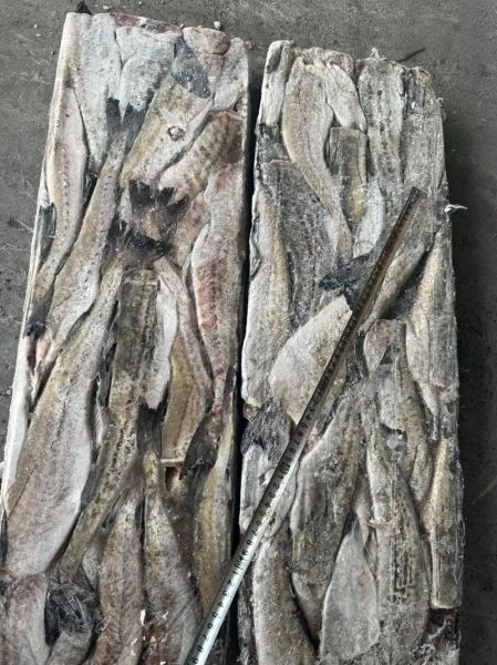 狭鳕鱼是什么鱼_狭鳕鱼图片怎么分辨真假-第1张图片-山城妙识