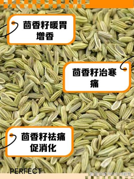 小茴香籽怎么吃_小茴香籽的正确吃法大全-第2张图片-山城妙识